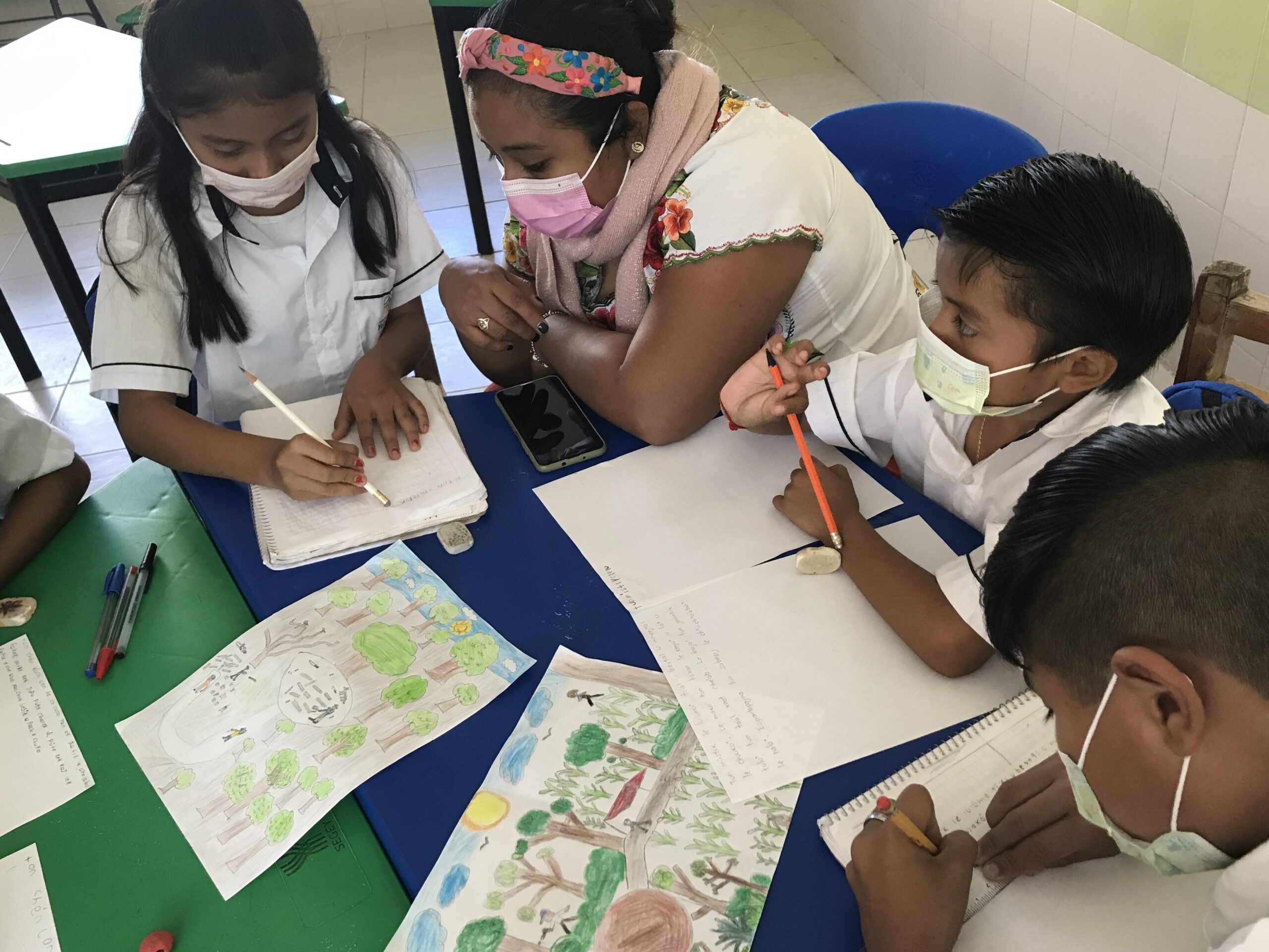 Estrategias para optimizar la educación multigrado en primaria