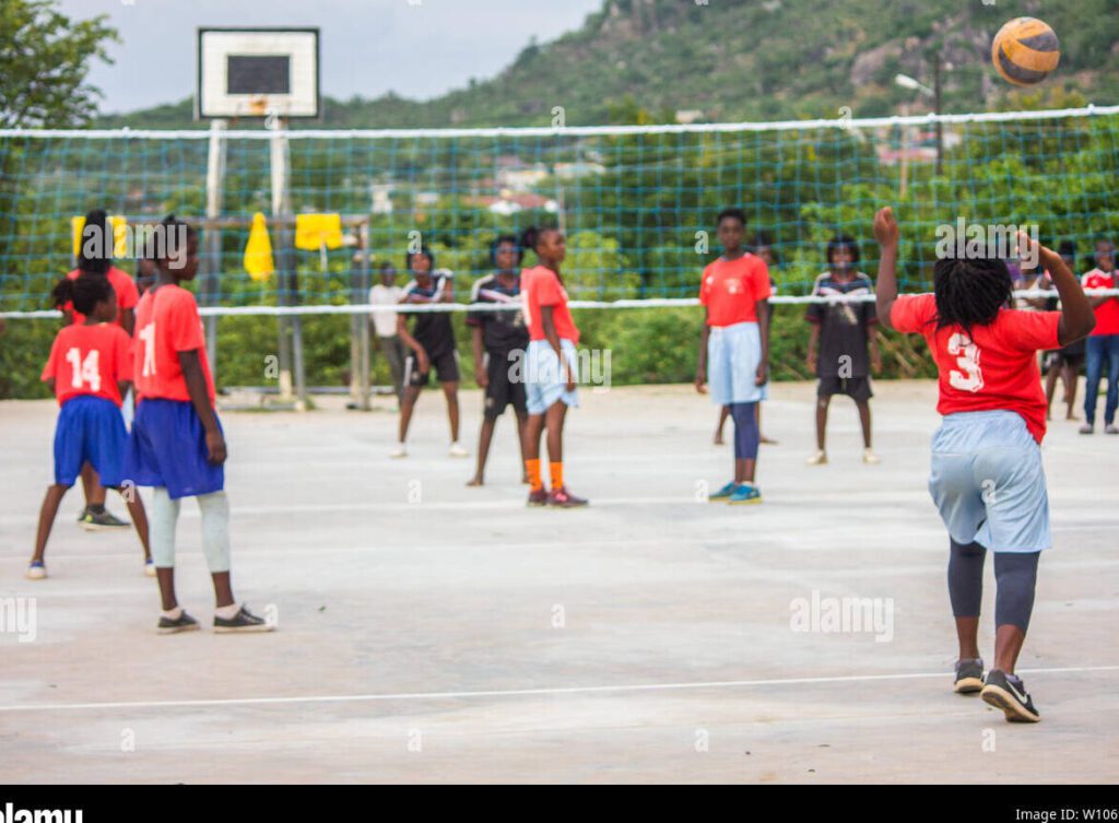 Línea mixta: definición y usos en geometría