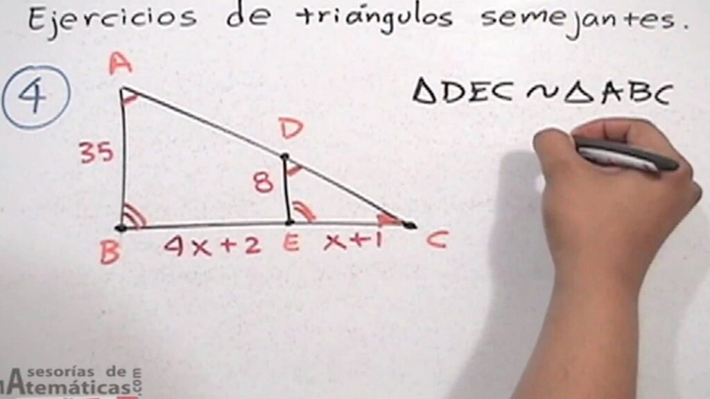 Ejercicios resueltos de razones y proporciones: ¡Aprende paso a paso!